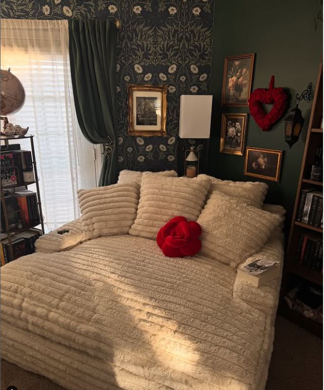 Cozy Home Library Essentials